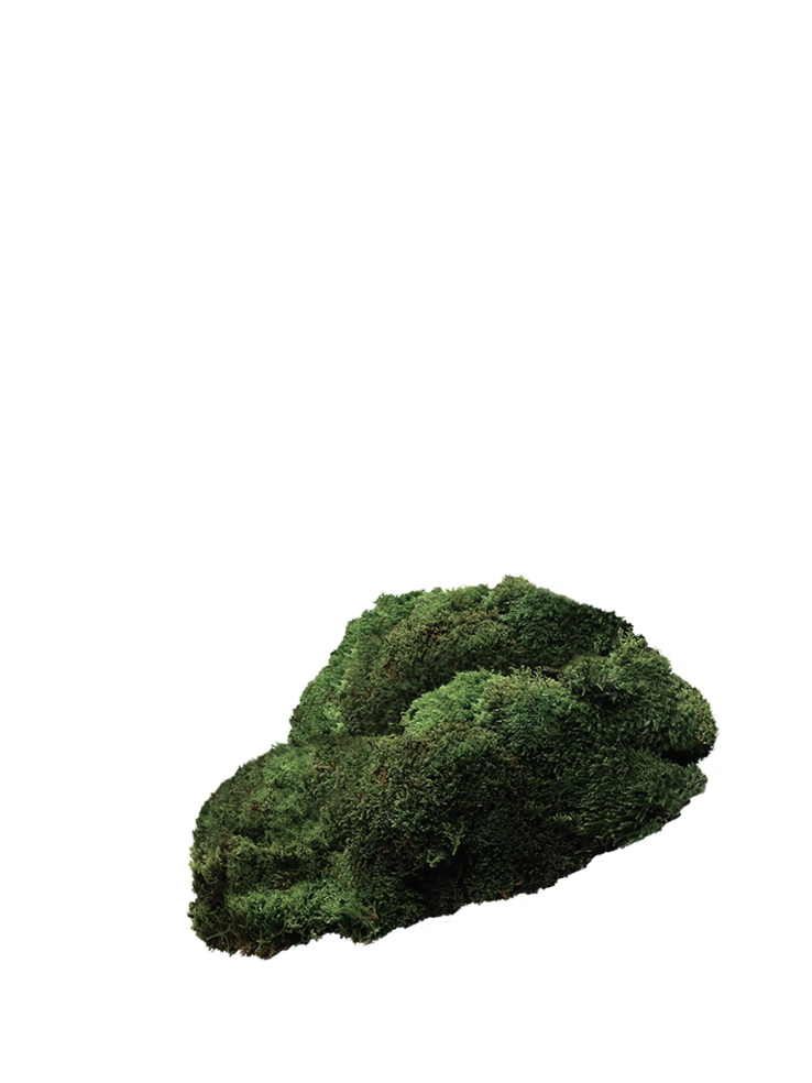 韓國小眾貴婦級 【限時用code額外95折】小眾高質感~Moss Hand Cream 純素護手霜 - #Pause 30ml | 香港化妝 ...